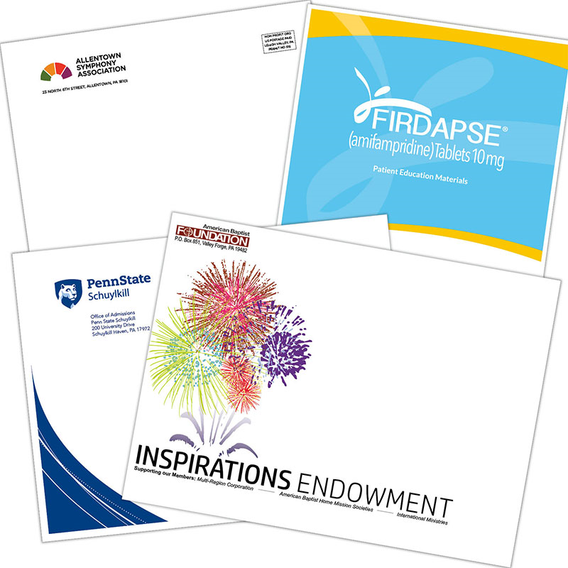 9x12 & 10x13 Envelopes | Lehigh Print & Data